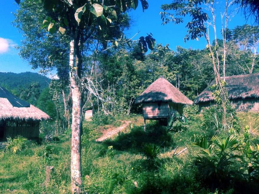 Immersion dans l'Amazonie equatorienne - JAVVA